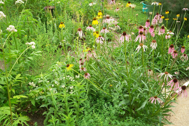 Living Low in the Lou: Sustainable gardening: John Jeavons ...