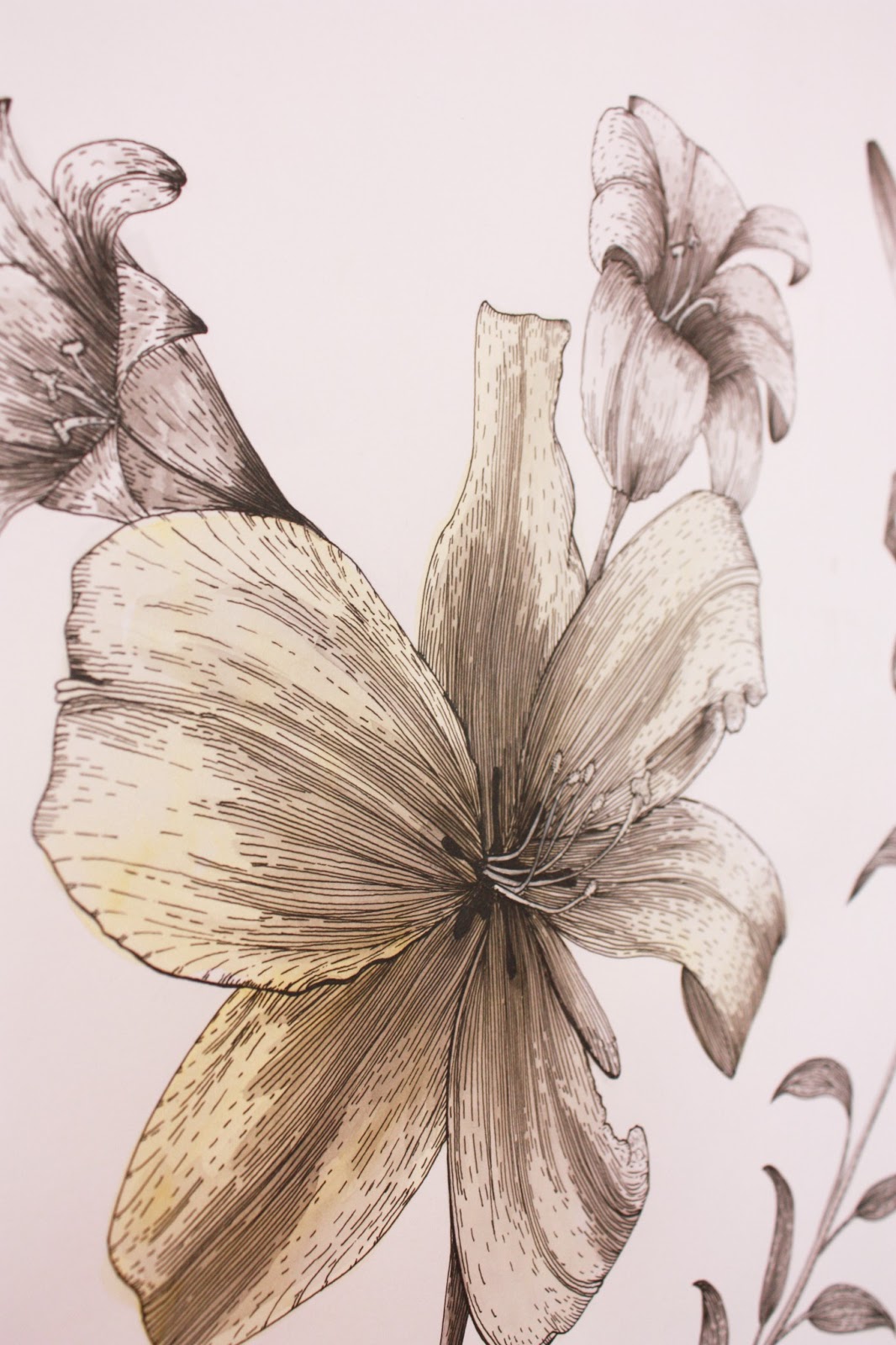 Choomi Kim Textile: Fine line drawing