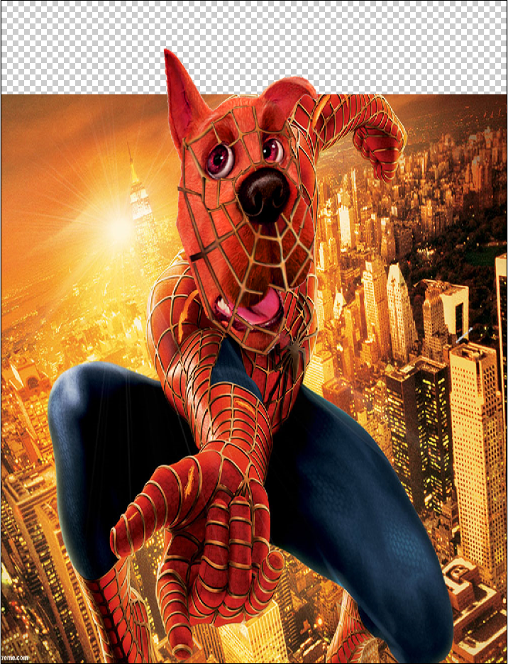 Cassidy's Epiphany's: spider doo day 4