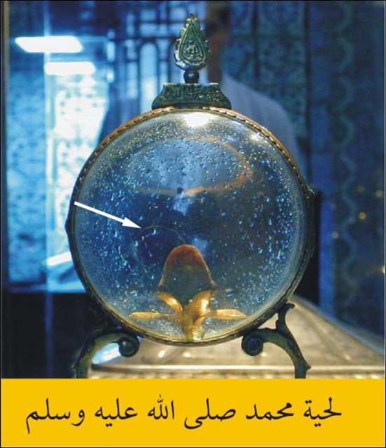 Islam Miracles: Hair-from-the-beard-of-Prophet Muhammad (PBUH)