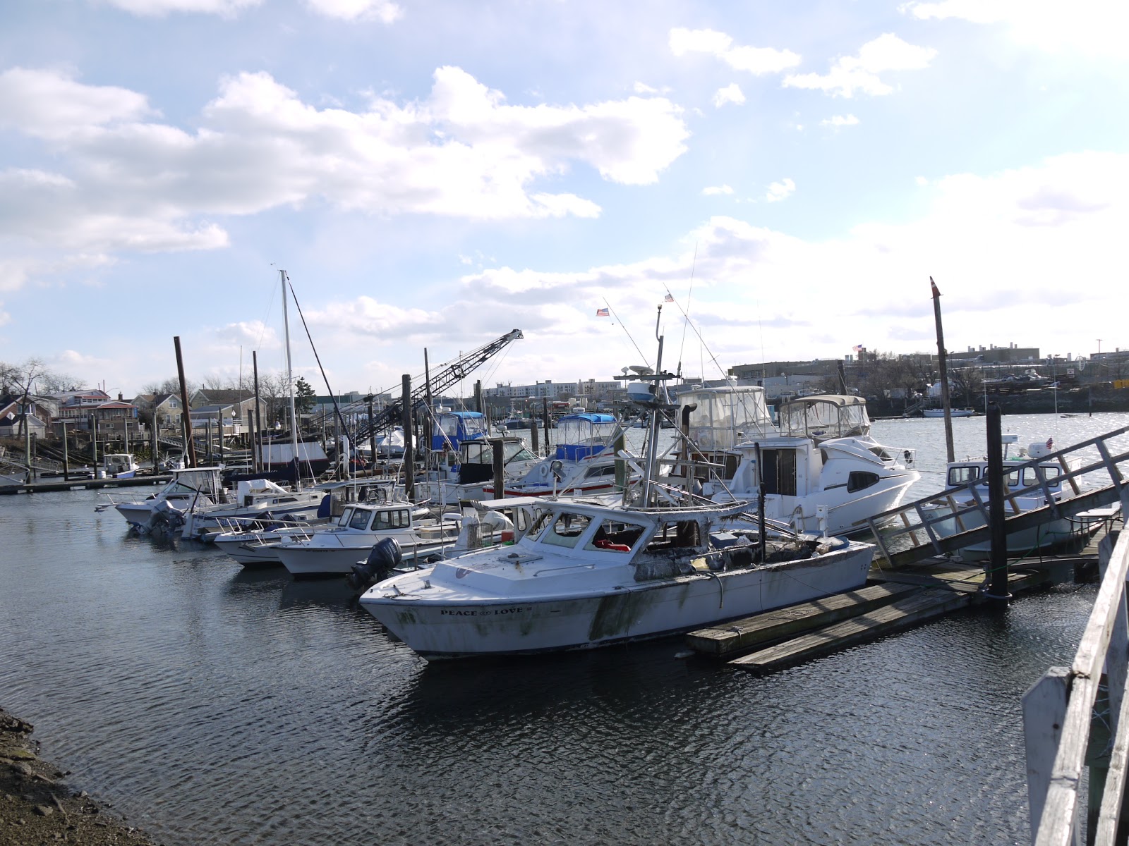 Frogma: Gerritsen Beach, Brooklyn