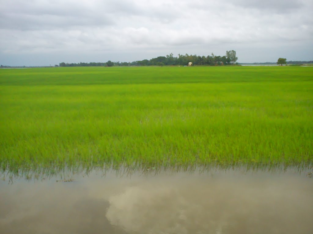 EXPLORE THE WORLD: Habiganj; a Historic City in Bangladesh