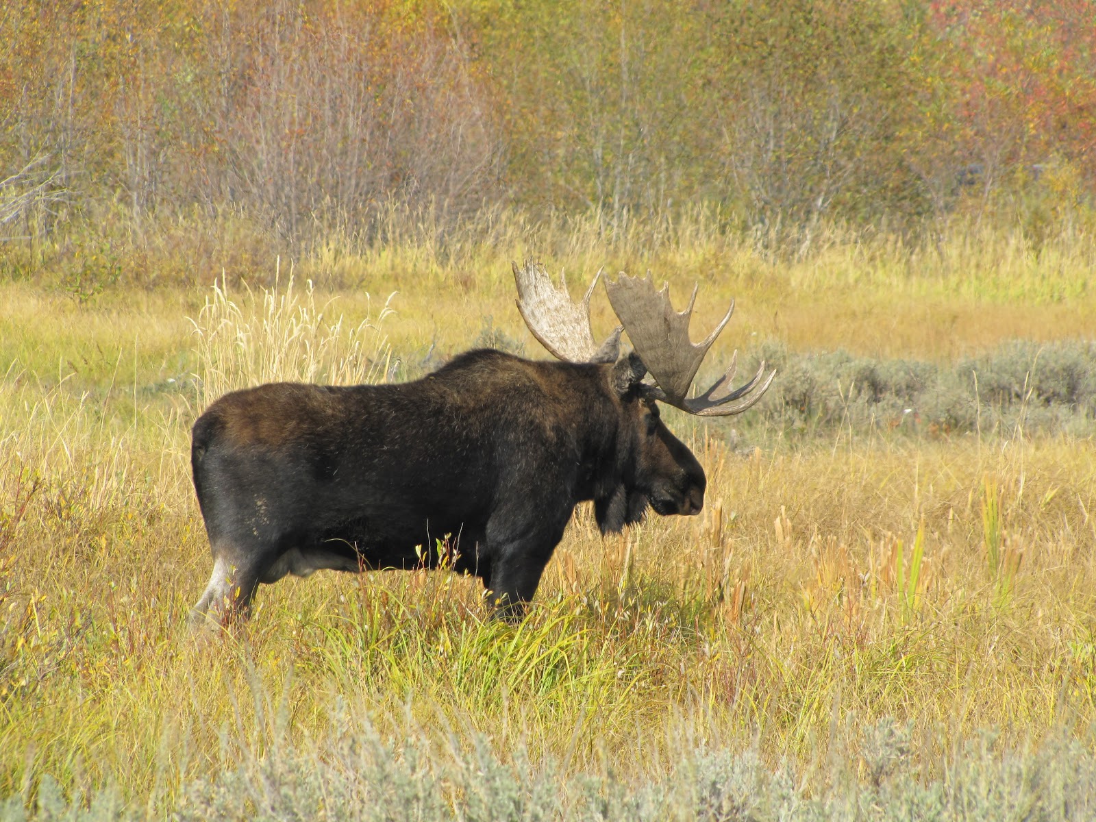 To Behold the Beauty: Changing Cameras