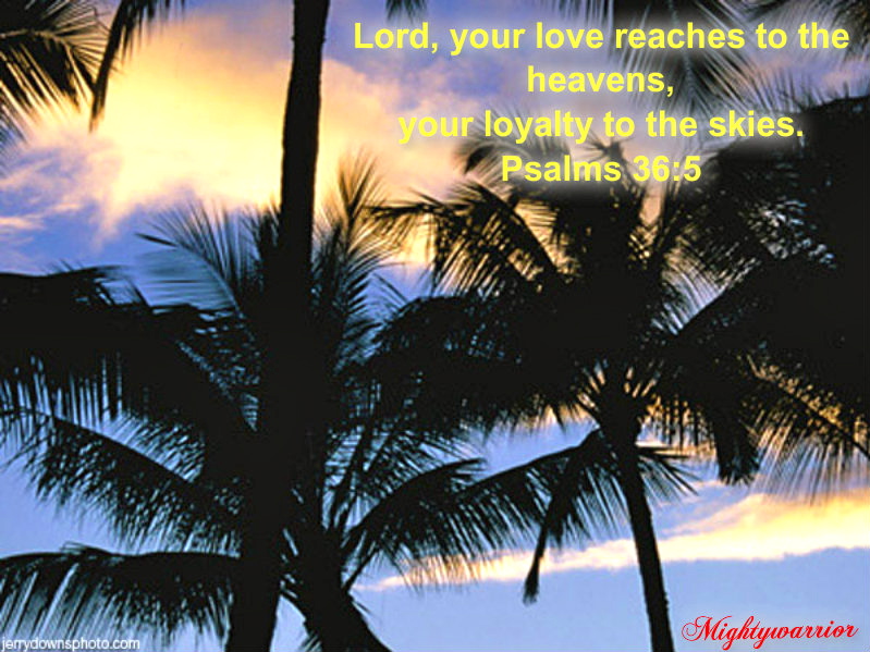 POWER OF THE HIGHEST GOD PSALMS 36 5 Unfailing Love power-of-the-highest-god-psalms-36-5-unfailing-love