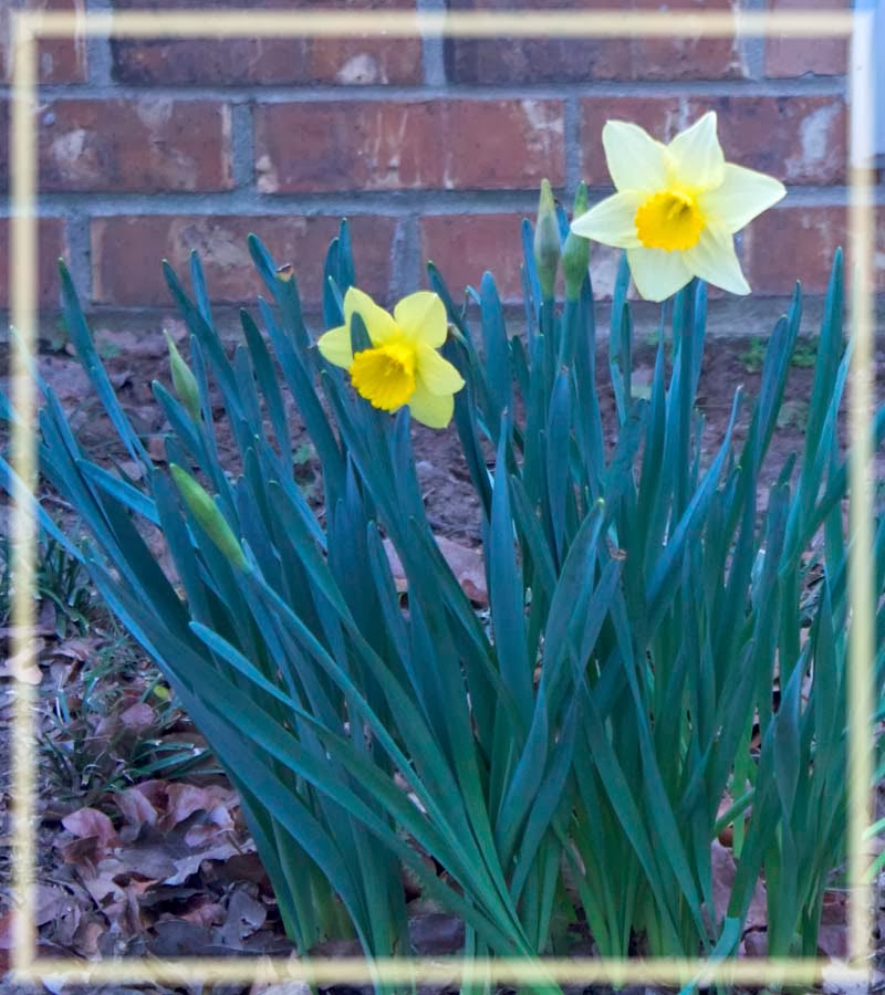 The B Farm : A Touch of Spring