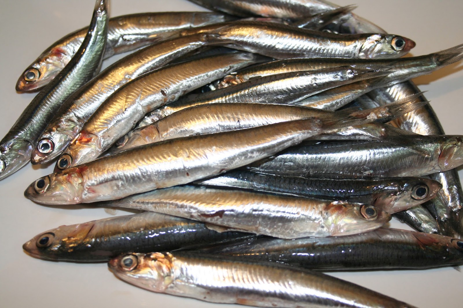 BOQUERONES CON LECHE DE COCO Y LIMA