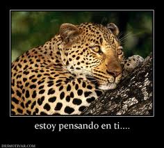 Imagenes y Frases Facebook: Estoy Pensando En Ti