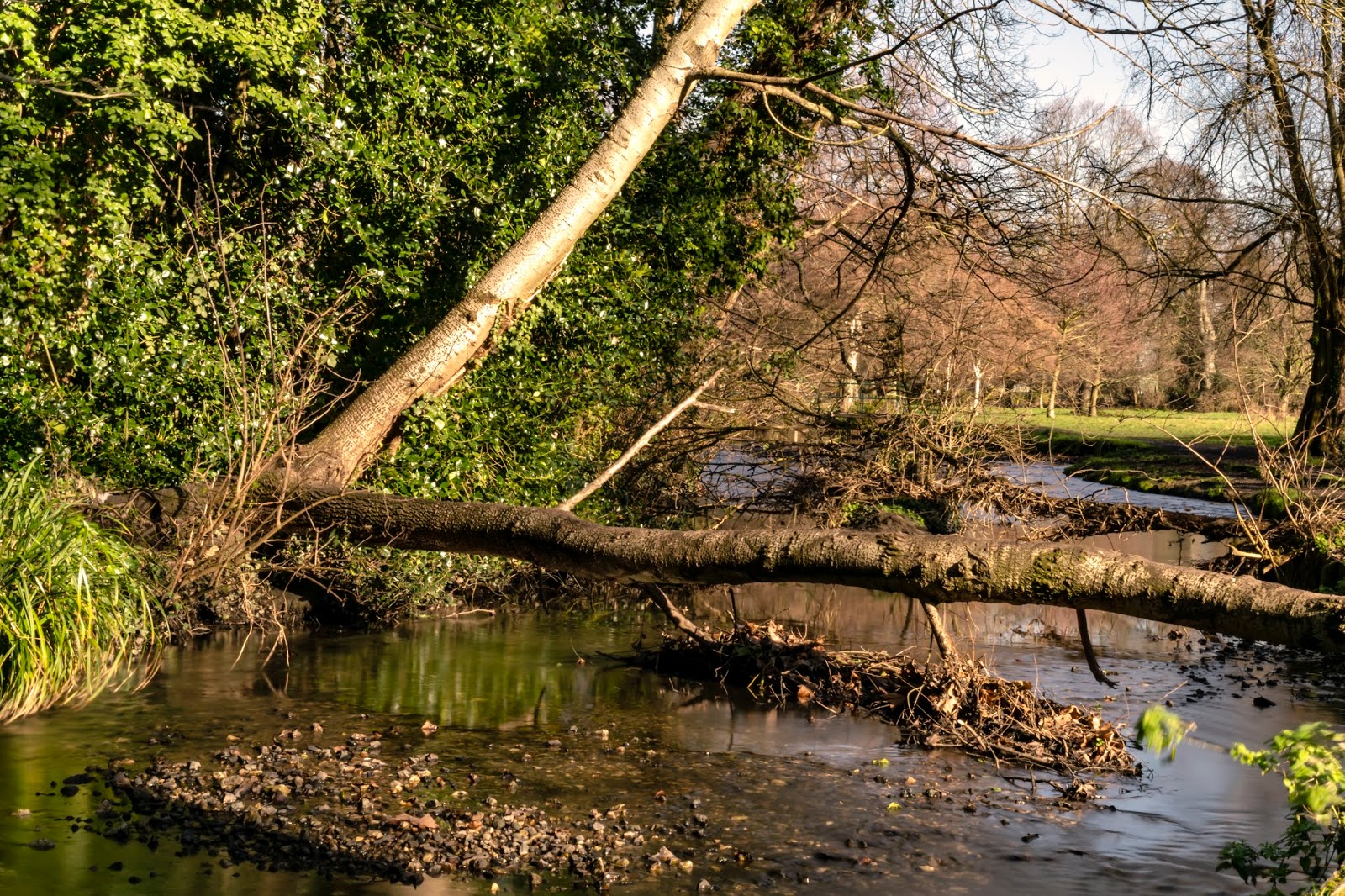 Enjoy your time with beautiful places: Beddington Park - Wallington ...