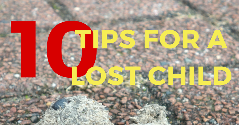 10 Tips For A Lost Child....Emergency Plan Part 1 - Mumma And Her Monsters