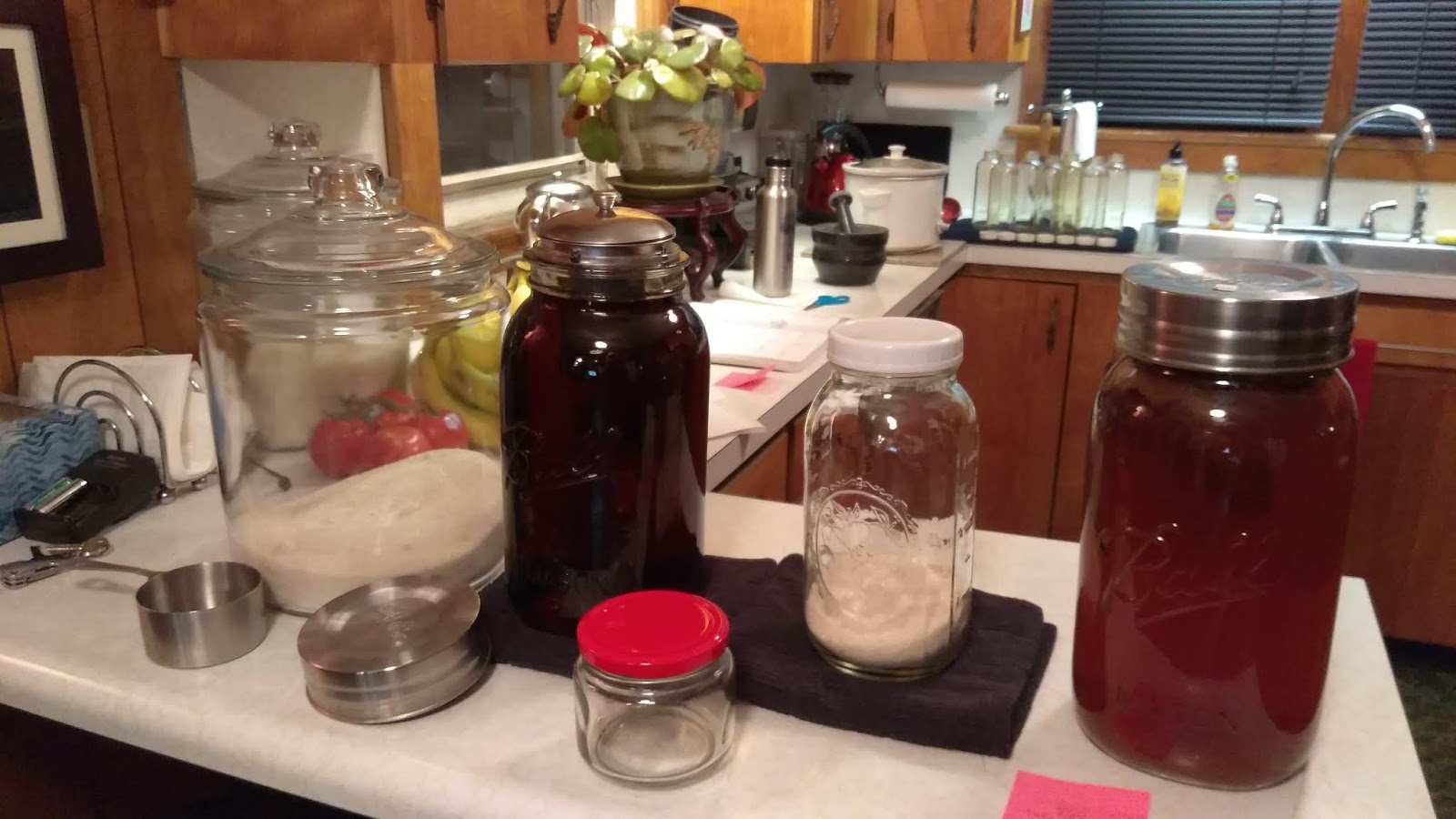 Cooking Deja Vu: Life Kombucha