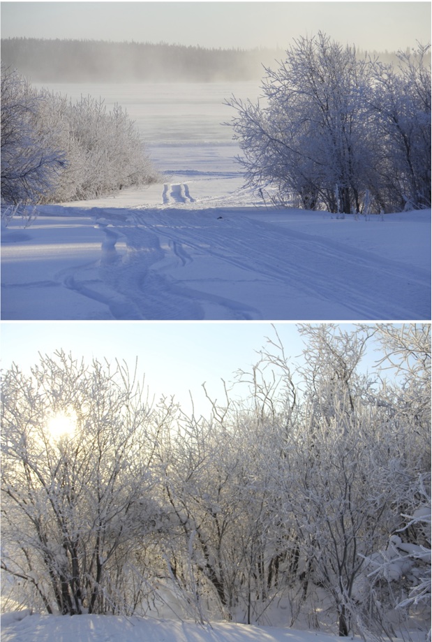 Hey, Lady Grey: Lately Up North, I'm learning what cold is.