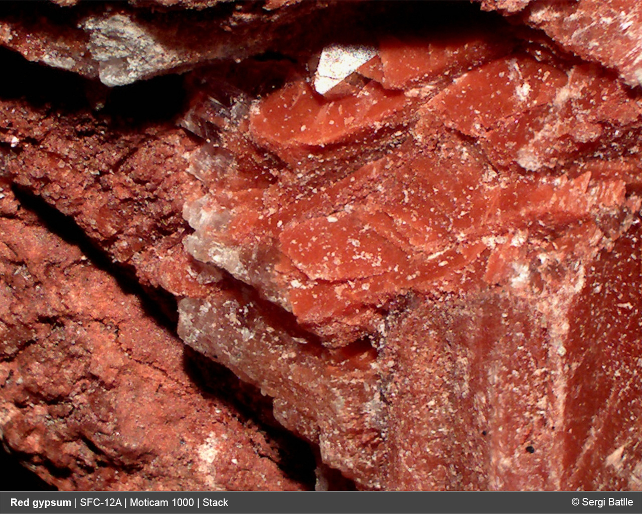 Motic Europe | Blog: Rock gloss glossing over its pale colour