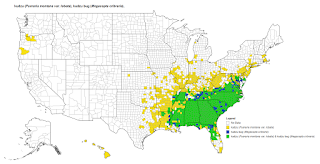 Center for Invasive Species and Ecosystem Health