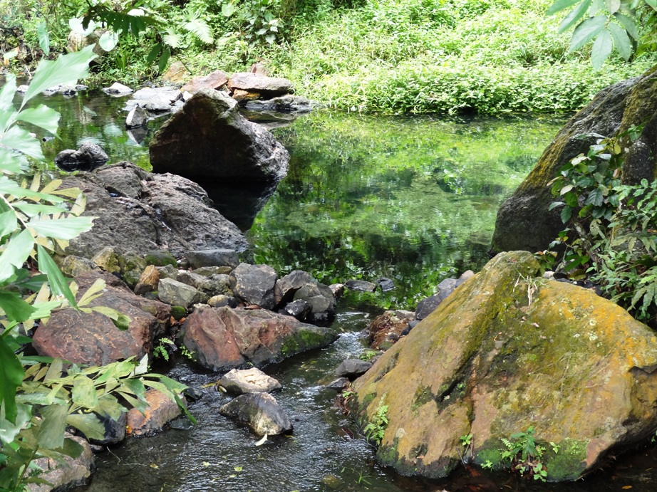 Fishing Spots in Kuala Lumpur & Selangor: Tilapia @ Klang Gate Dam ...