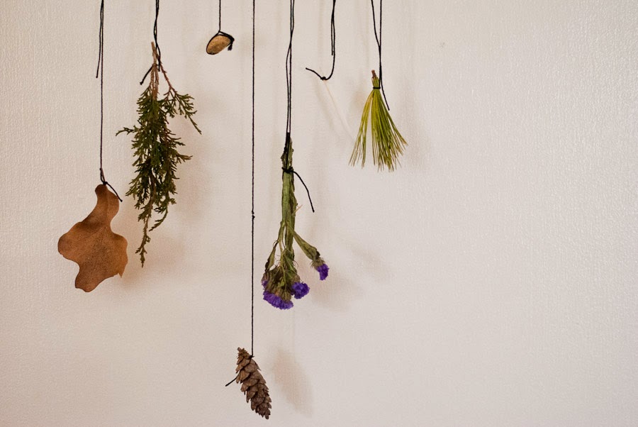 My Trash and Treasure: nature mobile