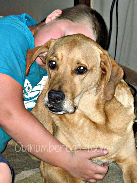 How Our Life with Gunner Began and How Is Your Dog Great Video Contest ...