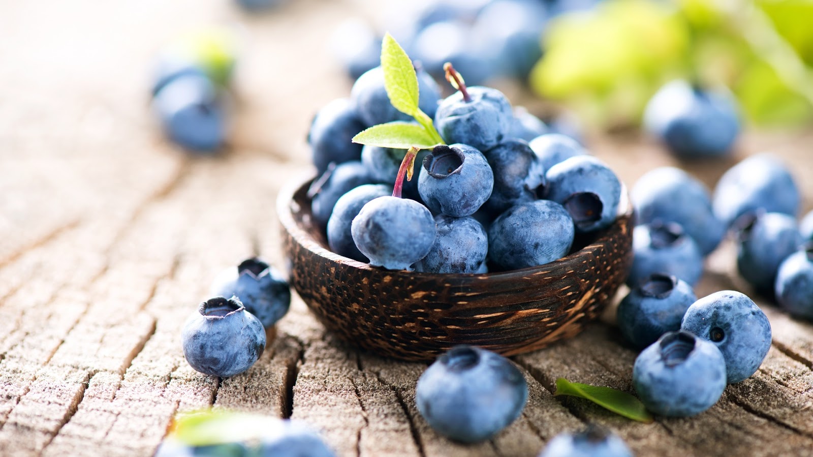 Cum si cand se planteaza coacazele neagre - Informaţia Timişoarei