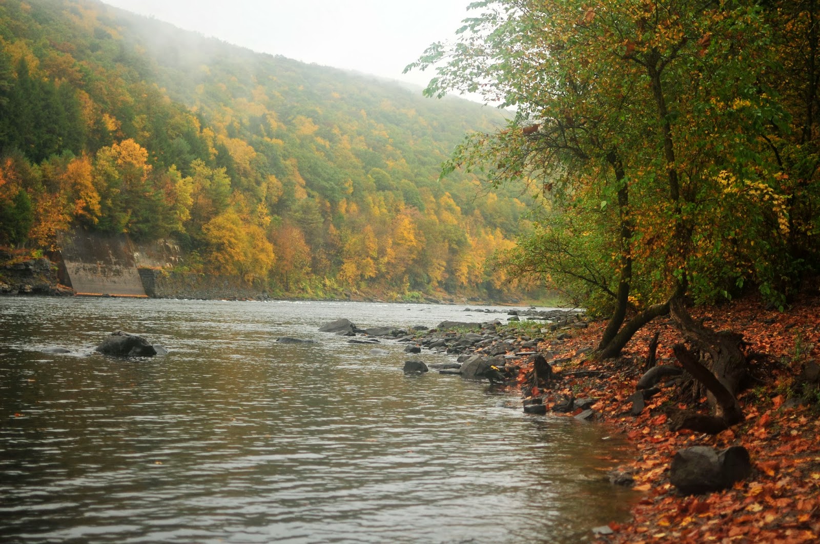 Jennifer Stiles Photography: Fall Rafting Down the Delaware River