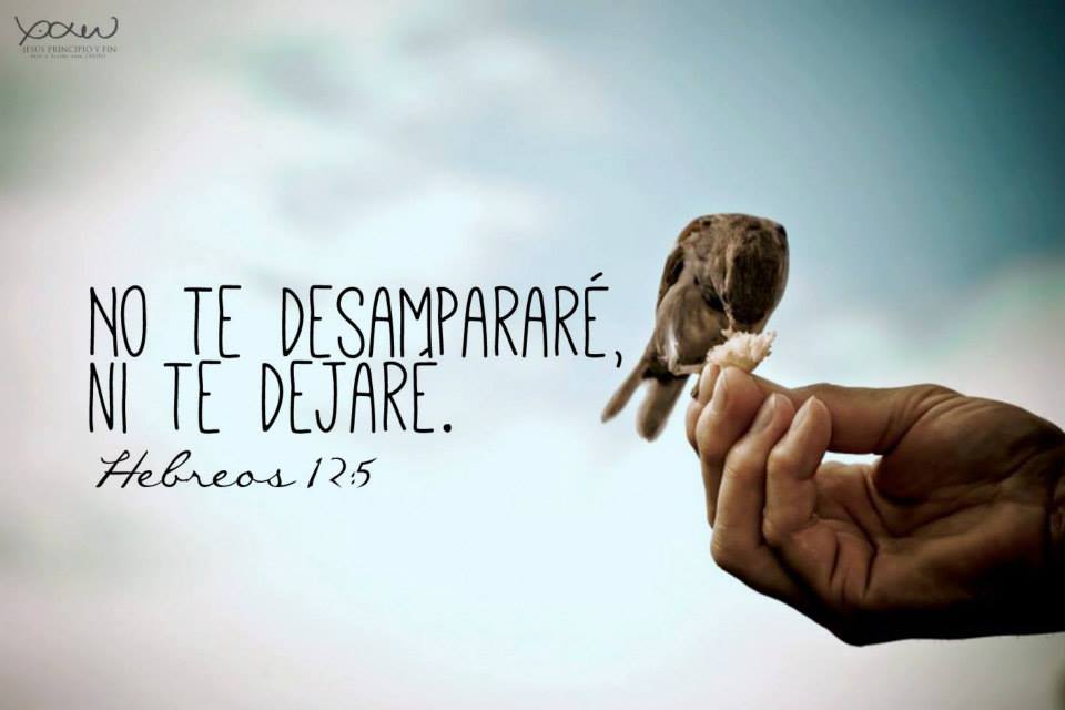 Mi confianza esta en ti Dios : No Te Desamparare Ni Te Dejare