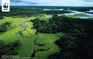 Mega Wallpapers HD: Amazônia Papel de Parede
