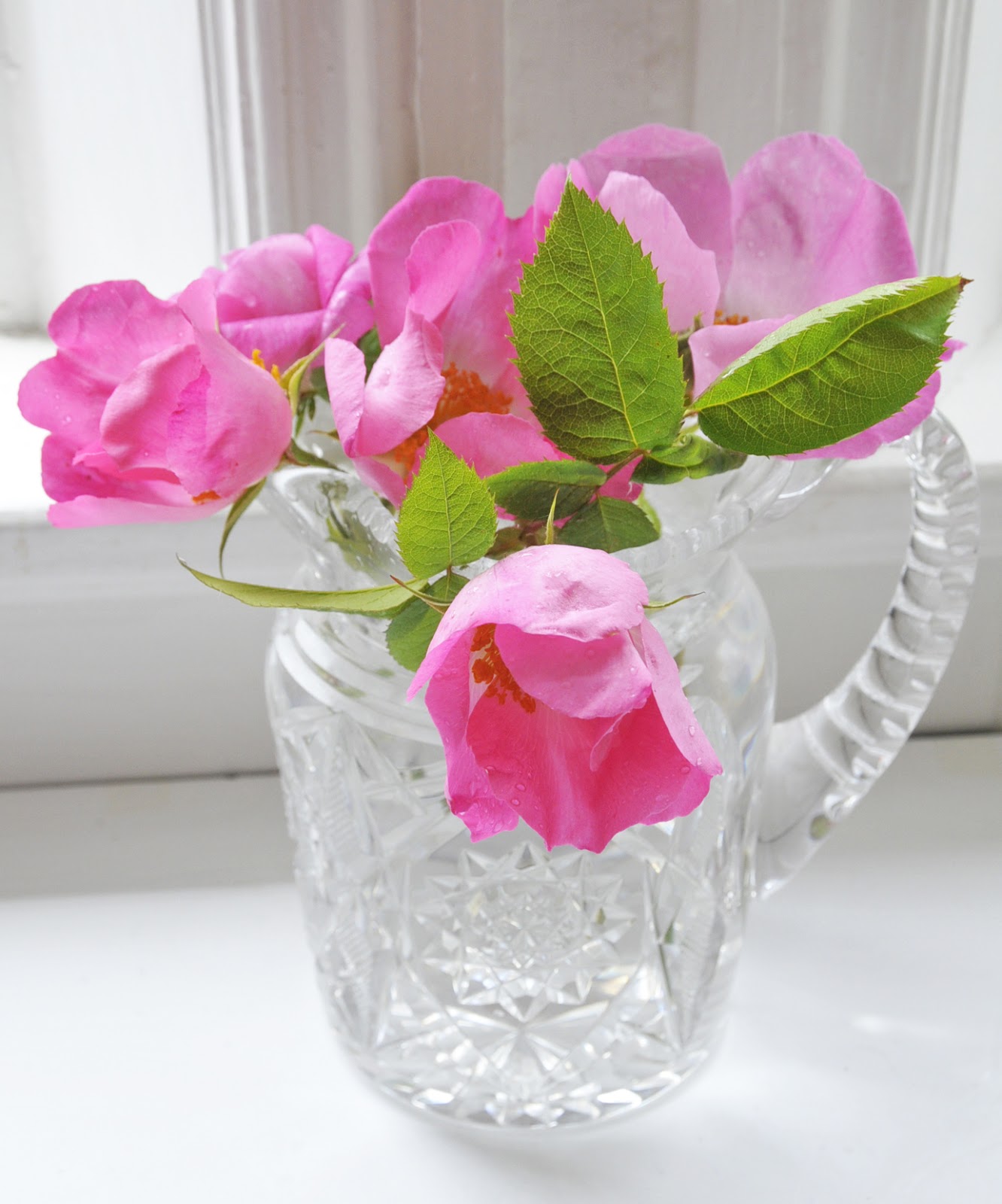 Helen Philipps: Raindrops on Roses