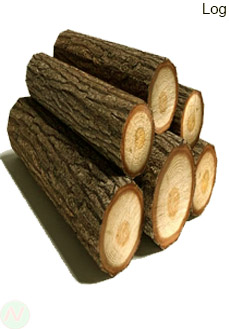 Tree & Plant Species Names & Images | Necessary Vocabulary - Necessary ...