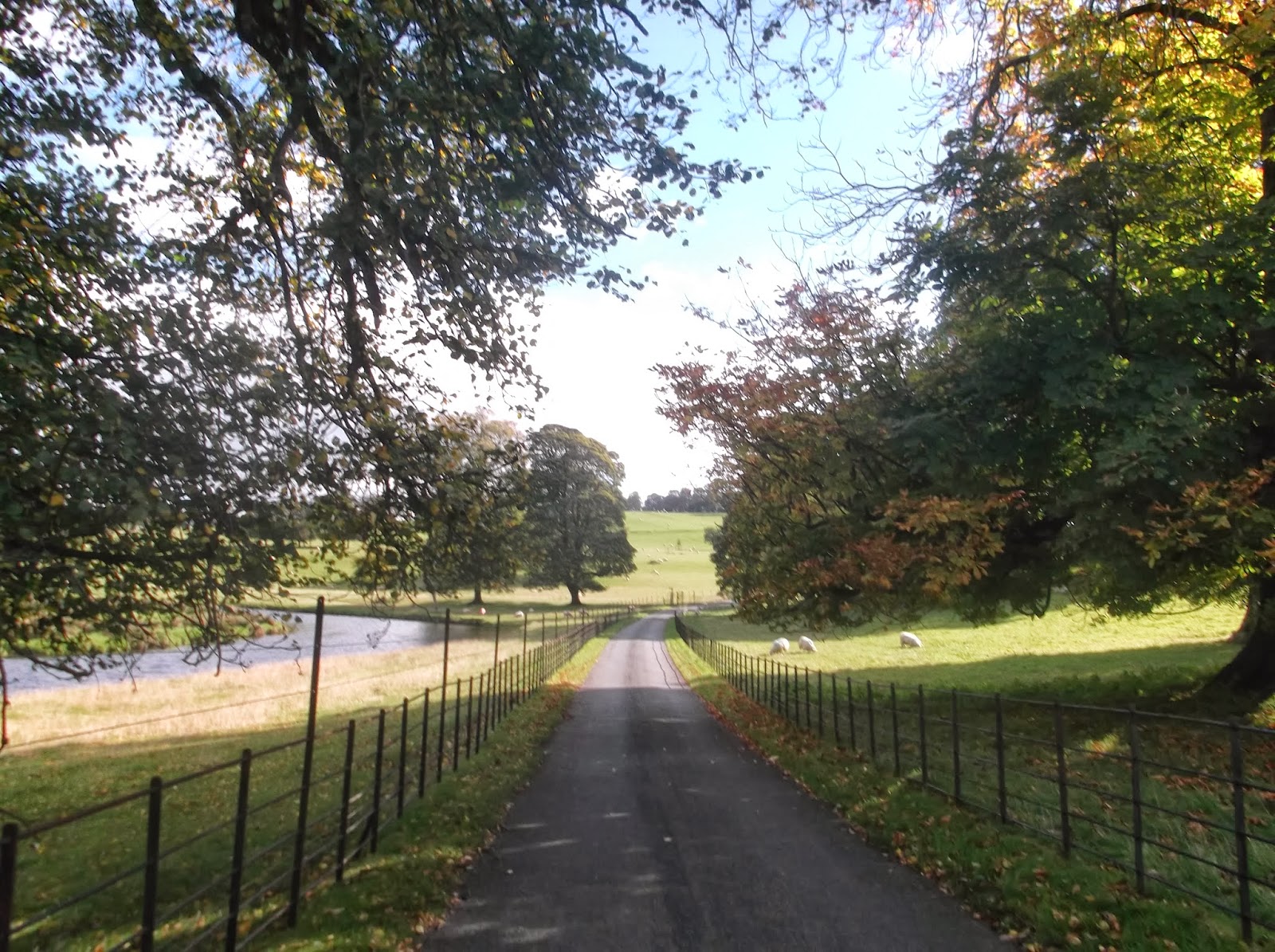 North West Images: Dallam Park