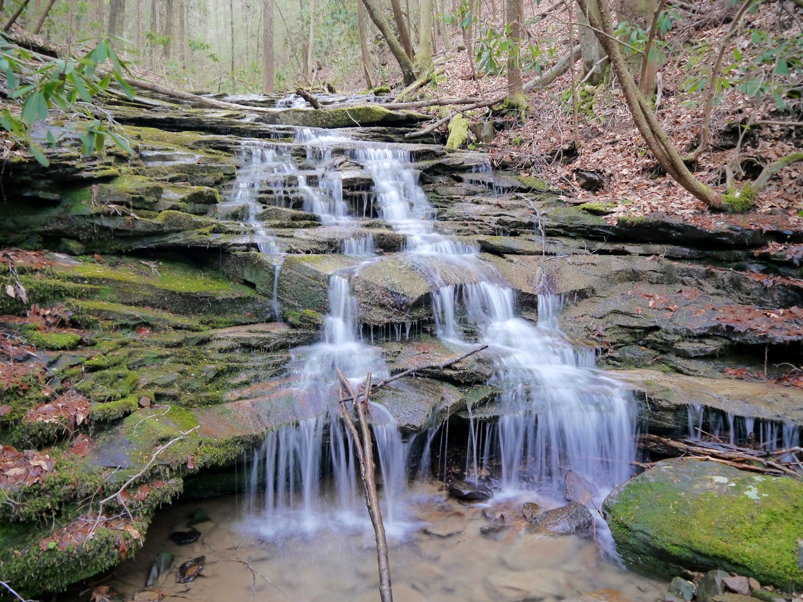 American Travel Journal: Emory River Gorge Section - Cumberland Trail ...