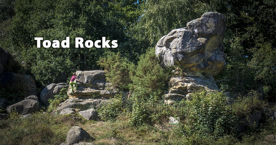 Southern Sandstone Climbs: TOAD ROCKS