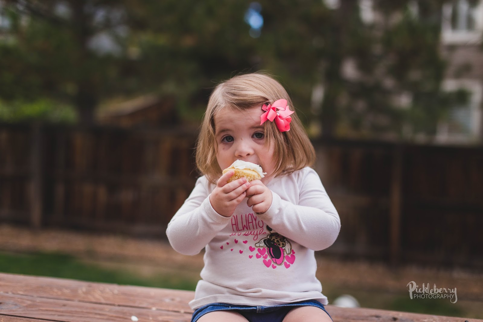 Pickleberry Photography