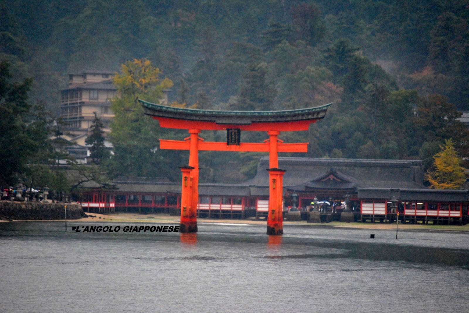 L'angolo giapponese: I TORII, LE PORTE DEL MONDO SACRO