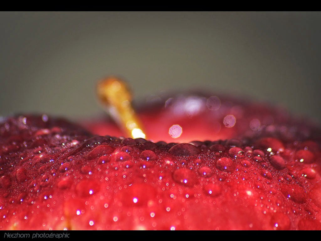Red Apple Photography Inspiration ~ Pixekite