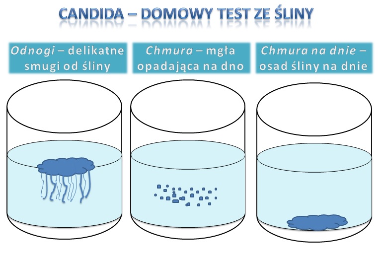 CH4 Candida – przyjaciel czy wróg?