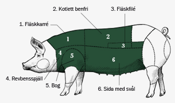 SMASKENS.NU: På äventyr med Scan, och en lektion i att stycka gris