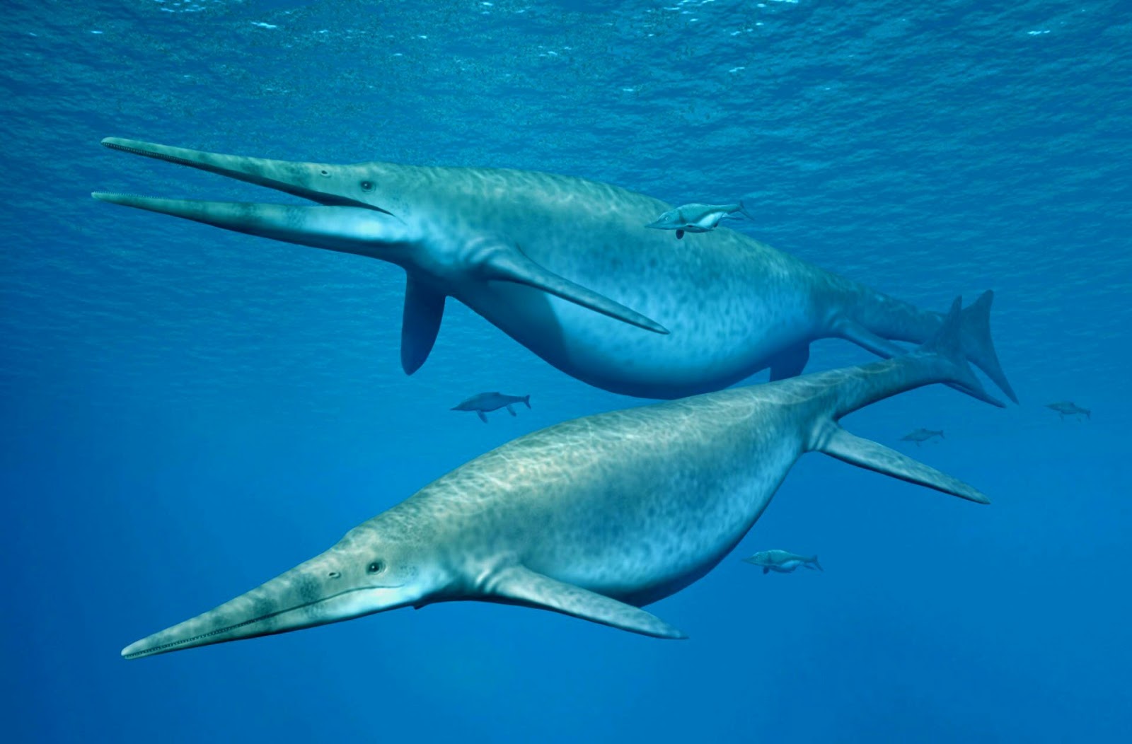 Penemuan Dinosaurus Terbesar Di Laut - shonisaurus sikanniensis ...