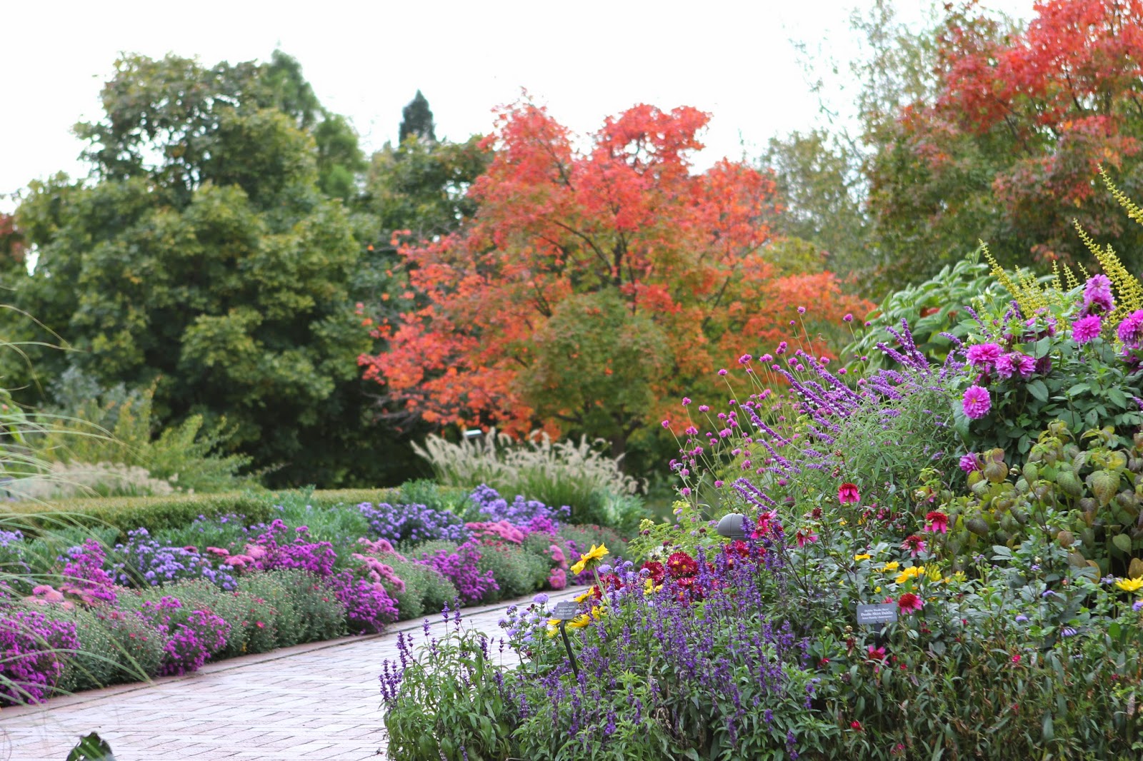 Romancing the Home: Fall Color at the Chicago Botanic Gardens