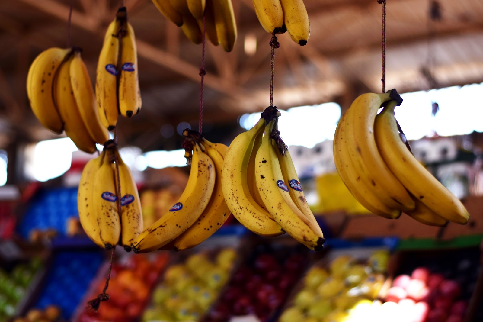 7 things to do in Agadir