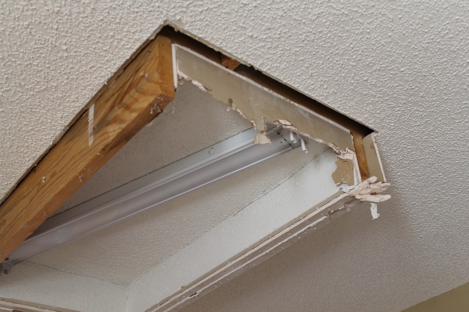 Life's Sweeter with Chocolate: Removing the Fluorescent Light Box in ...