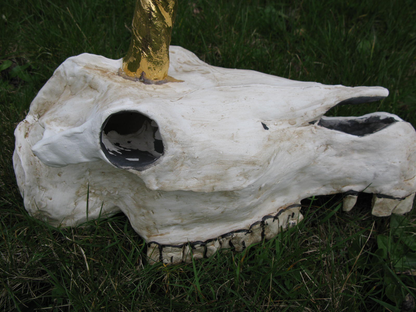 Aaron Murray: Unicorn Skulls and the Pegasusunicorngiraffe