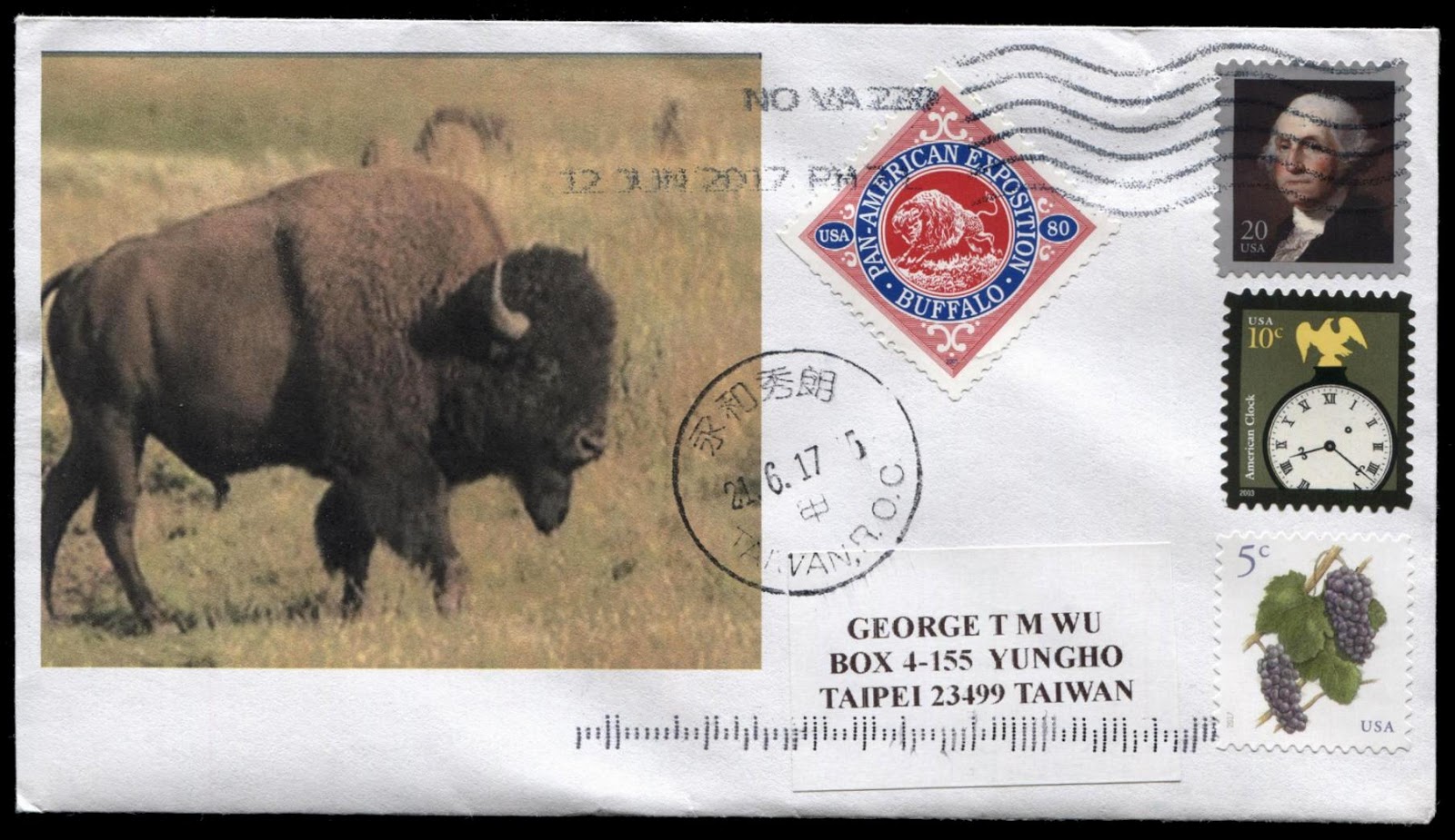 Gulfmann Stamps Collection: USA ~ American Buffalo Cover