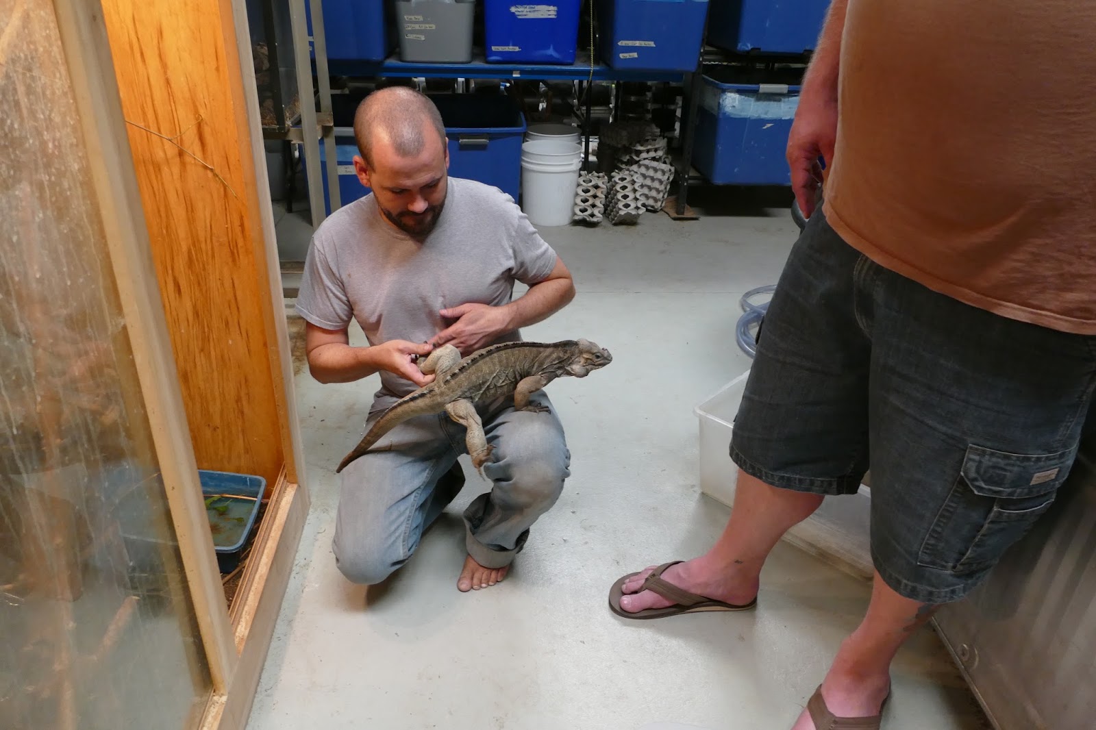 Visiting a Reptile and Arachnid Breeding Facility - Teaching Science ...