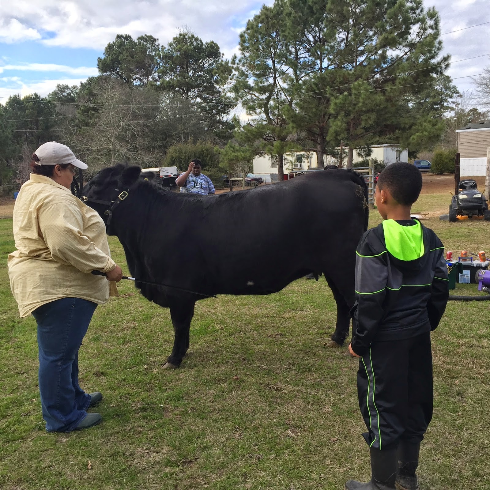 Southern University Ag Center and College of Agriculture: Southern ...