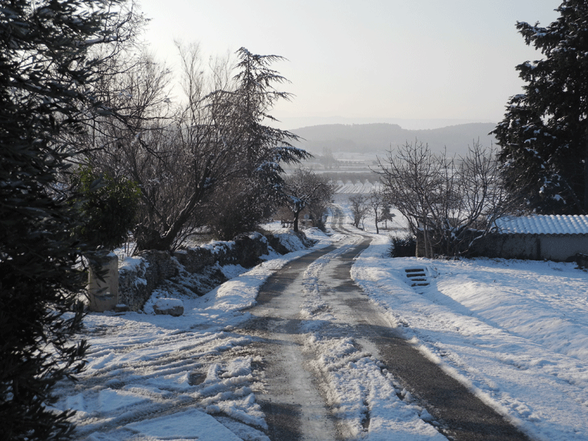 Provence: Winter In Provence I