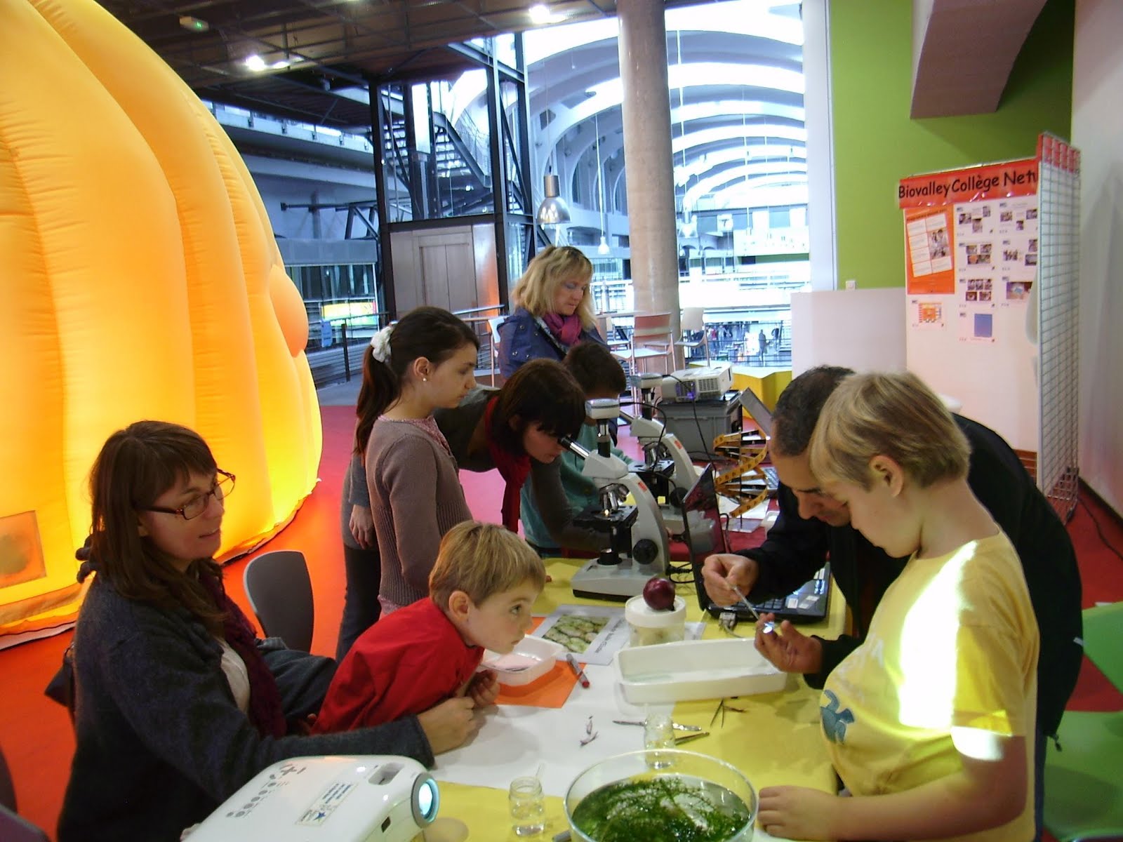 The Giant Cell: Photos