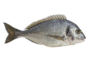 Ribarnica Marković - Kragujevac: Najtraženije vrste morske ribe u Srbiji