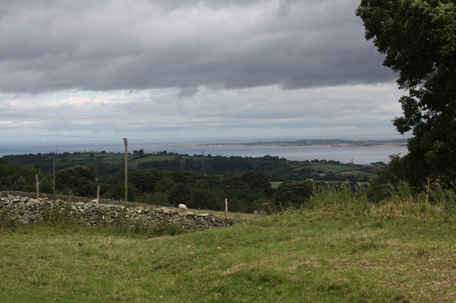 Shebafudge: Treasure Trail - Halkyn Mountain woods and hillforts