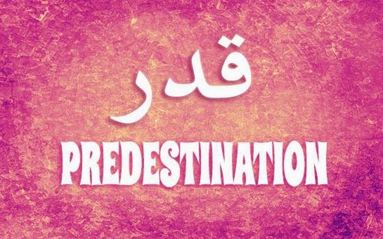 Belief in Qadar (predestination) - Islamic Finder - Lectures Khutbas