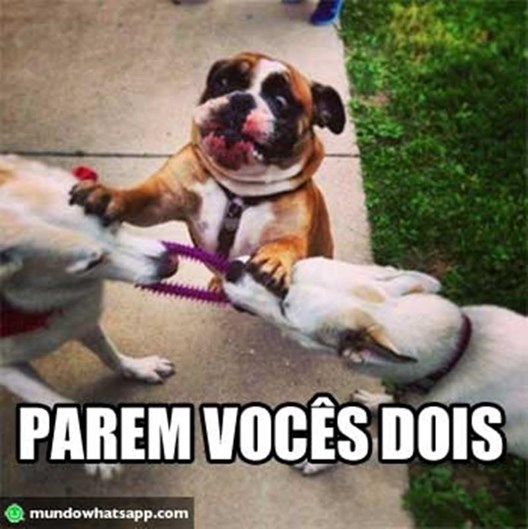 Meme para apartar brigas no grupo ~ ZapZap da Zoeira