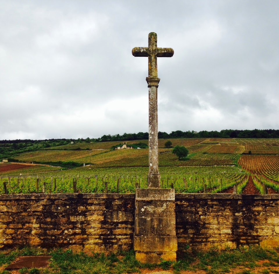 Wine -- Mise en abyme: Visit to Domaine de La Romanée-Conti (DRC): The ...