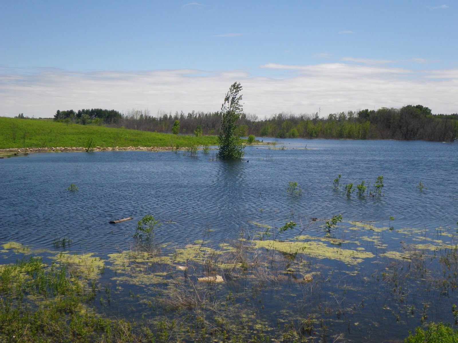 The Lost Grove Lake Mapping Project: It's Getting Closer To Full